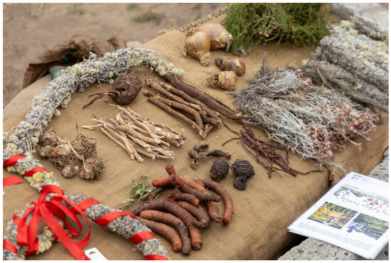 Anthropology of Food: History, Topics, and Trajectories to Understand a ...