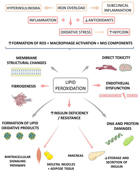 Dysmetabolic Iron Overload Syndrome: Going beyond the Traditional Risk ...