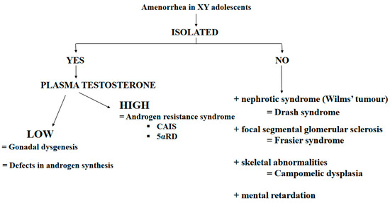 Primary Amenorrhea in Adolescents: Approach to Diagnosis and Management