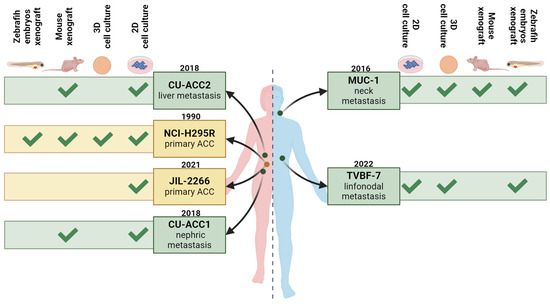 Human and Murine Cell Lines for Adrenocortical Carcinoma and ...