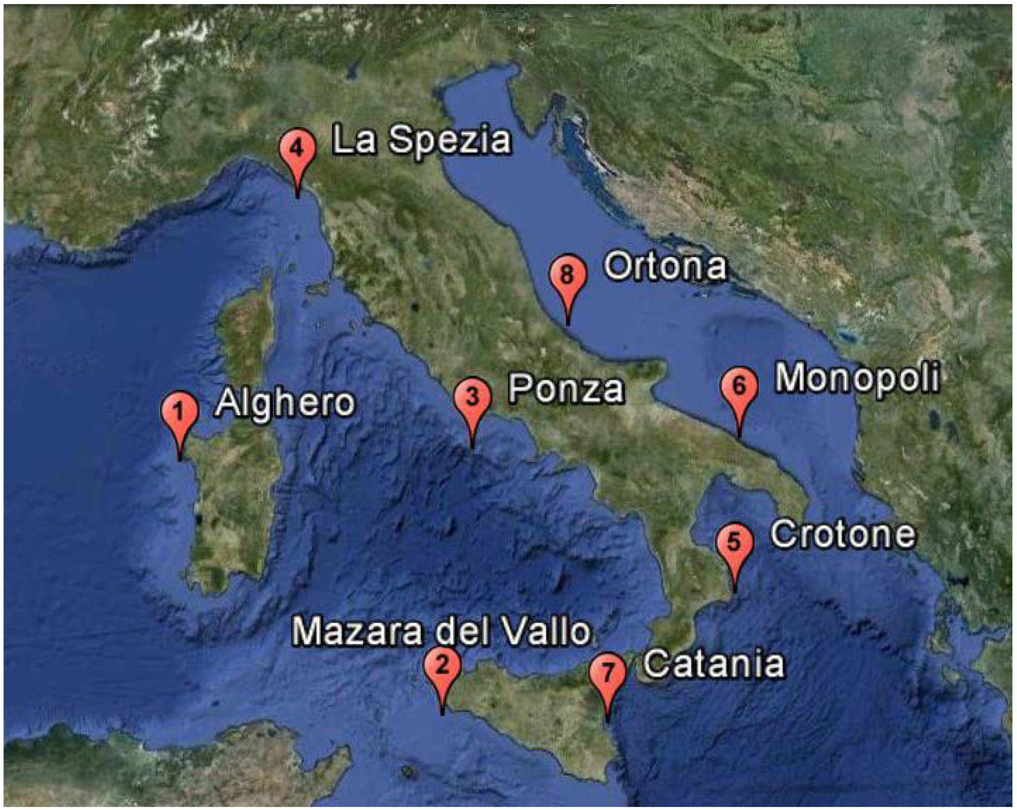 Energies | Free Full-Text | Modeling of a Point Absorber for Energy ...