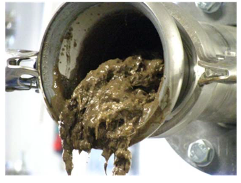 Co-Combustion of Animal Waste in a Commercial Waste-to-Energy BFB Boiler