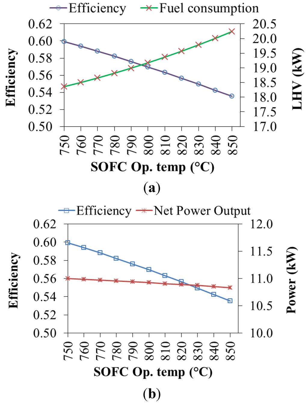 Modeling and Analysis of Transport Processes and Efficiency of Combined ...