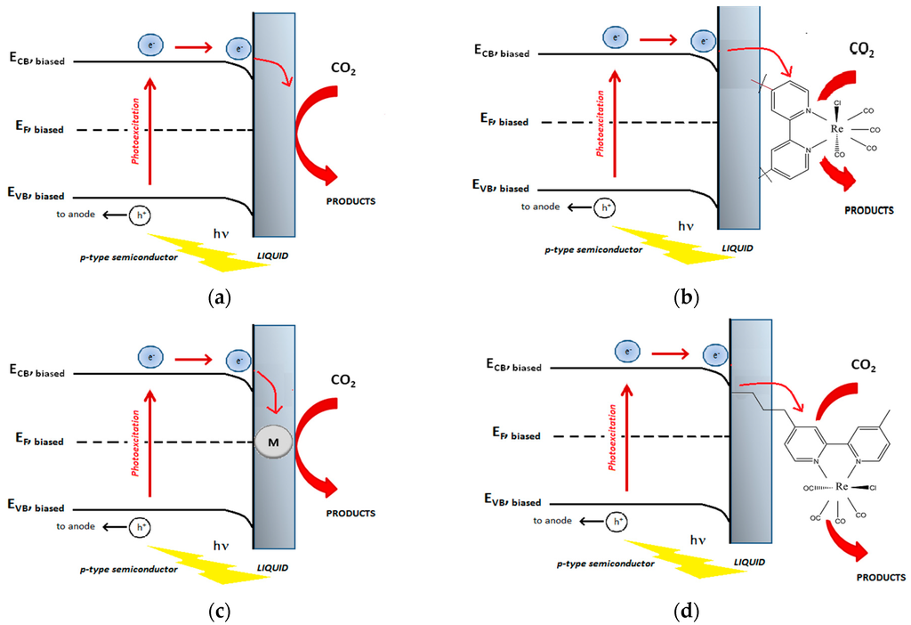 Semiconductor Electrodes at Otto Dietrich blog
