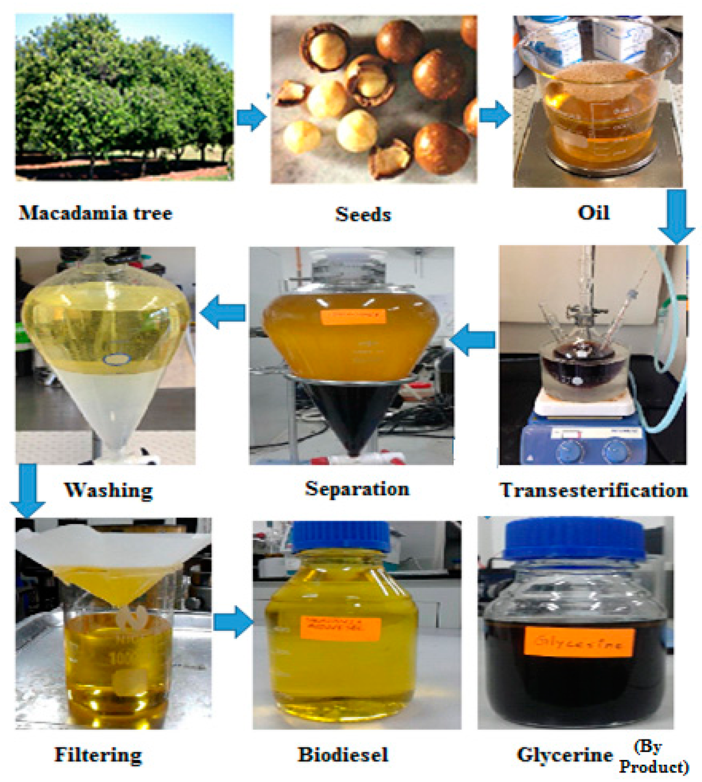 Biodiesel Fuel