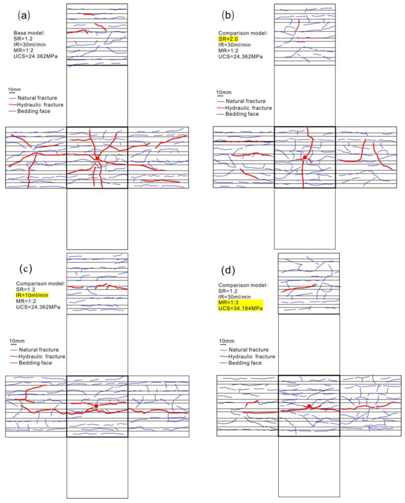 Investigation of Fracturing Network Propagation in Random Naturally ...