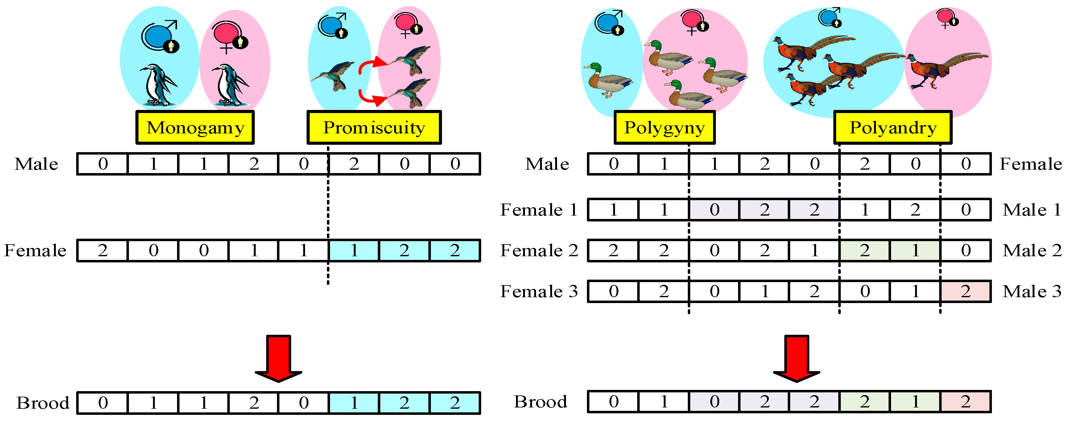 Energies | Free Full-Text | A Modified Bird-Mating Optimization with Hill-Climbing for ...