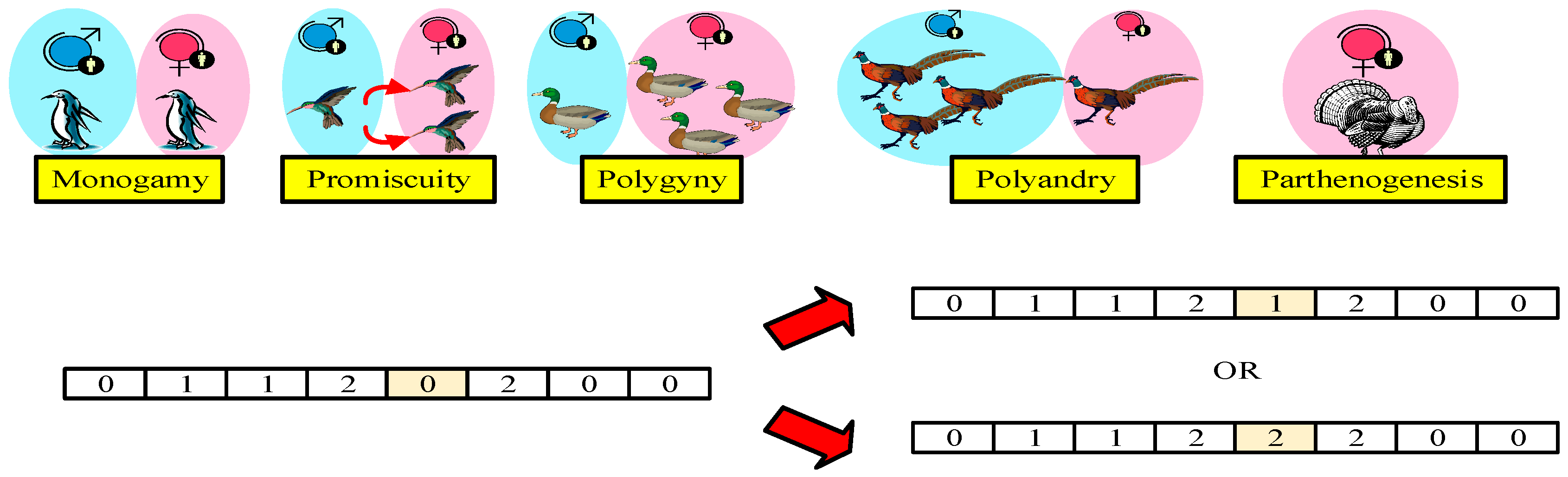 Energies | Free Full-Text | A Modified Bird-Mating Optimization with Hill-Climbing for ...