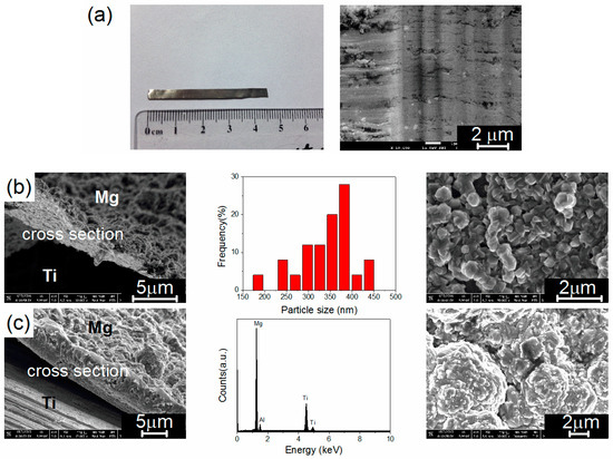 Electrodeposited Magnesium Nanoparticles Linking Particle Size to ...