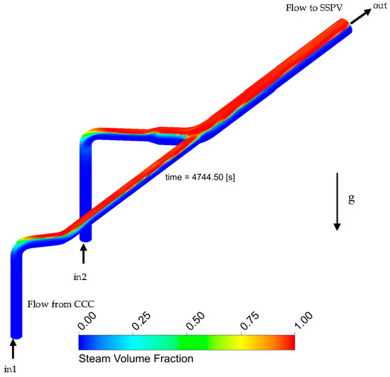 Possibilities and Limitations of CFD Simulation for Flashing Flow ...