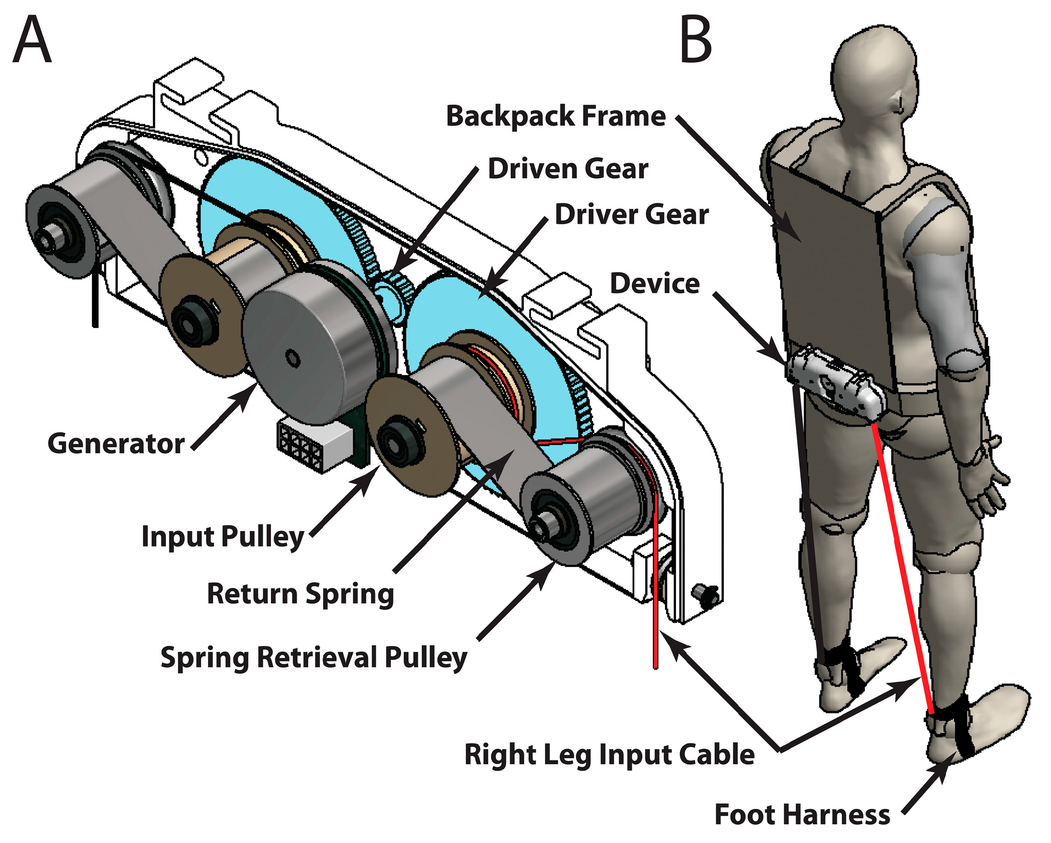 Wearable Biomechanical Energy Harvesting Technologies