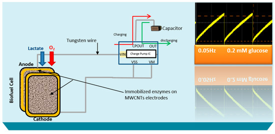 Energies | Free Full-Text | Self-Powered Electrochemical Lactate Biosensing