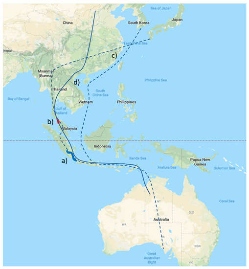 The Prospect for an Australian–Asian Power Grid: A Critical Appraisal
