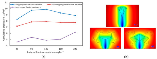 Numerical Simulation of Fluid Flow through Fractal-Based Discrete Fractured Network