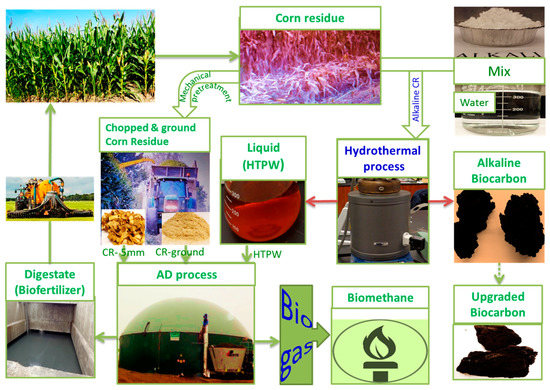 Mechanical and Alkaline Hydrothermal Treated Corn Residue Conversion in ...