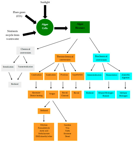 Algal Biomass from Wastewater and Flue Gases as a Source of Bioenergy
