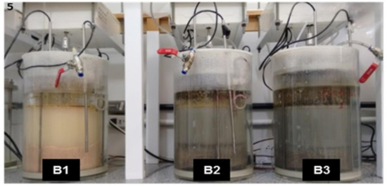 Energies | Free Full-Text | Construction of Biodigesters to Optimize ...