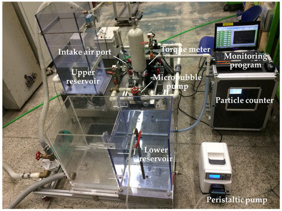 Bubble Size and Bubble Concentration of a Microbubble Pump with Respect ...