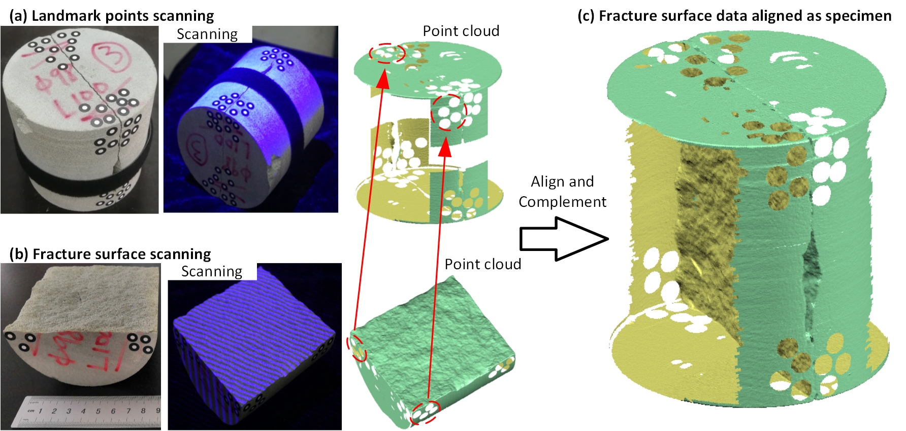 Energies | Free Full-Text | A Novel Approach to Investigating Transport ...