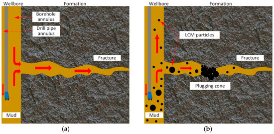 A Novel Approach to Investigating Transport of Lost Circulation ...