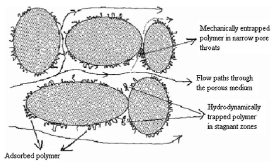 An Overview on Polymer Retention in Porous Media