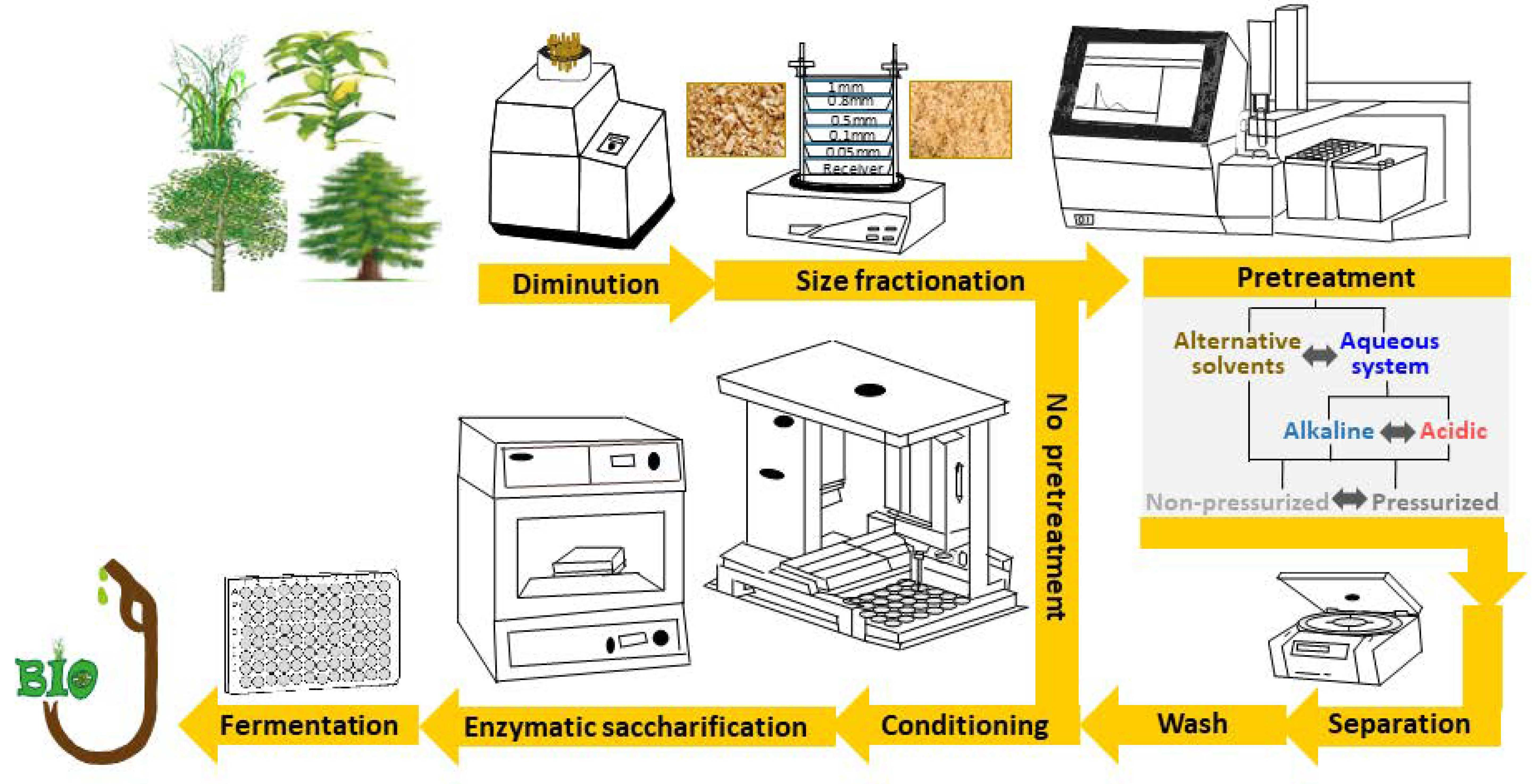 Energies | Free Full-Text | Analytical Enzymatic Saccharification of ...