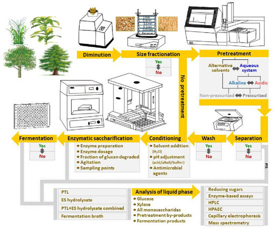 Analytical Enzymatic Saccharification of Lignocellulosic Biomass for ...