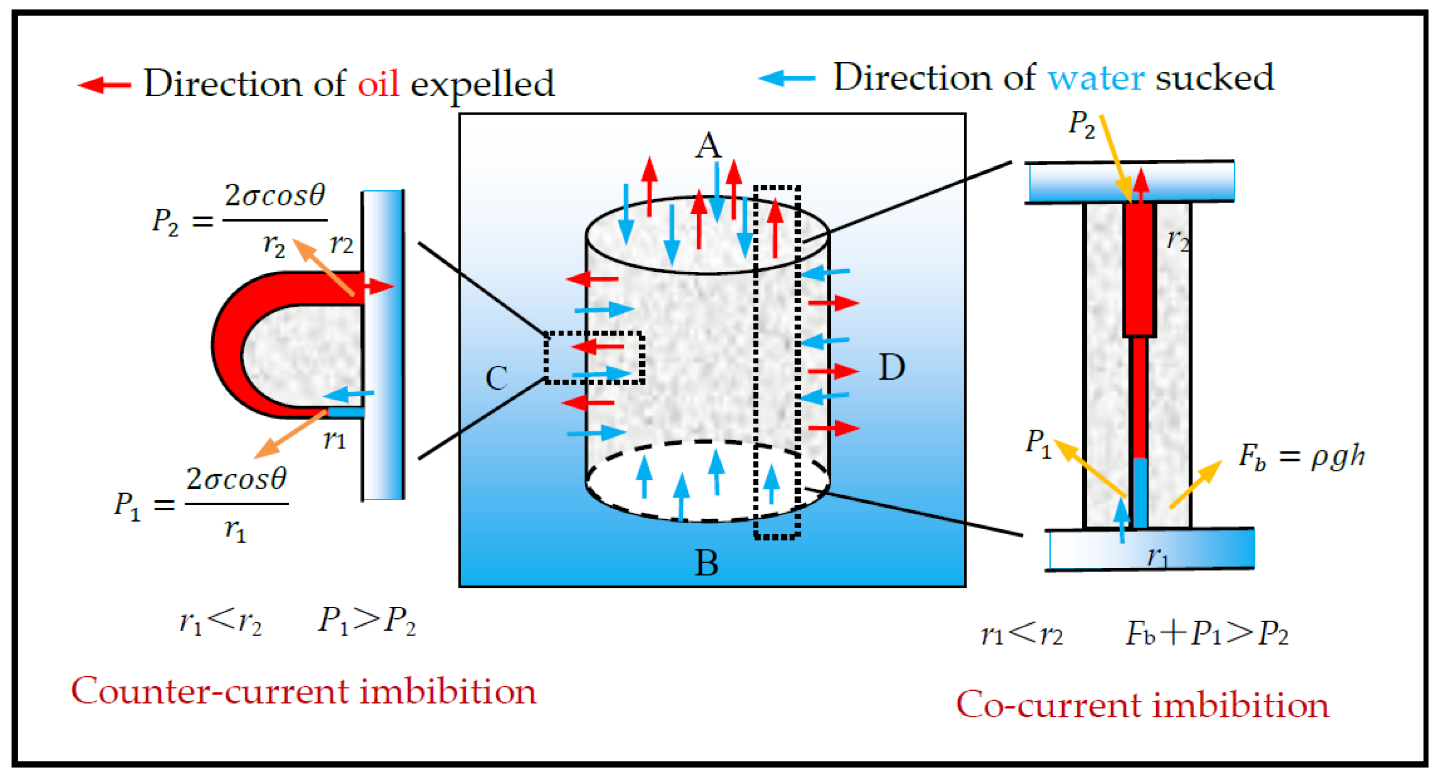 Nuclear Magnetic Resonance Measurement of Oil and Water Distributions ...