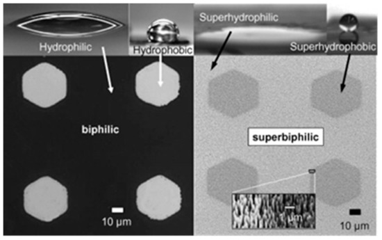 Micro-Nano Scale Surface Coating for Nucleate Boiling Heat Transfer: A ...