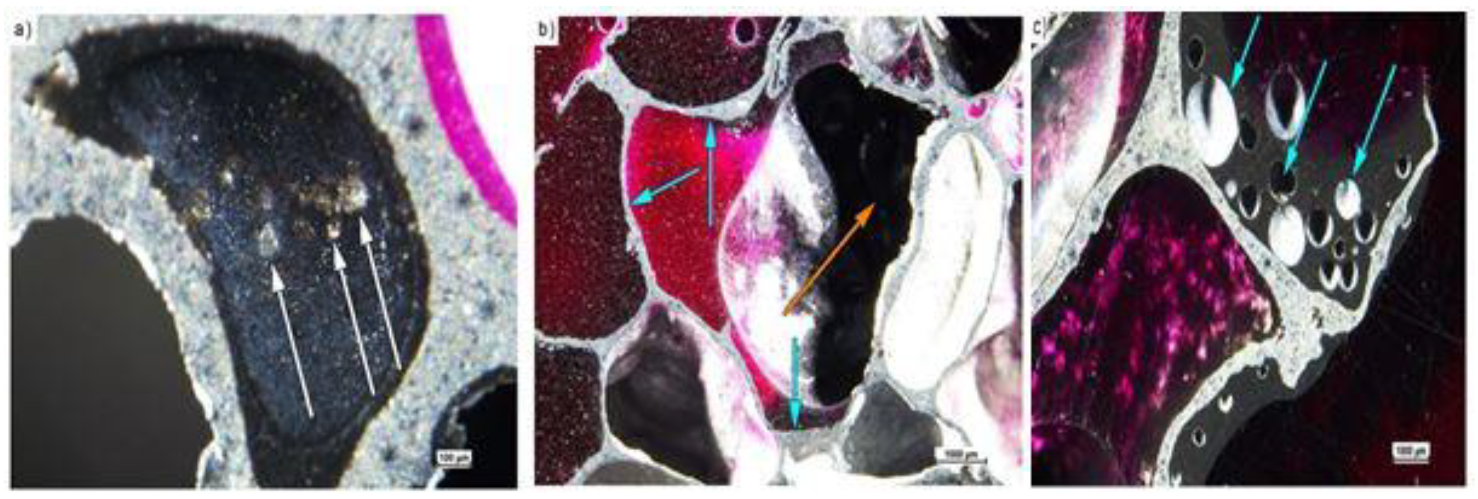 Evaluating the Effect of Metal Bipolar Plate Coating on the Performance ...