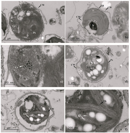 Fatty Acids, Hydrocarbons and Terpenes of Nannochloropsis and ...