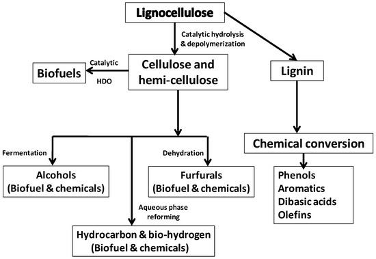 Bio-Based Chemicals from Renewable Biomass for Integrated Biorefineries