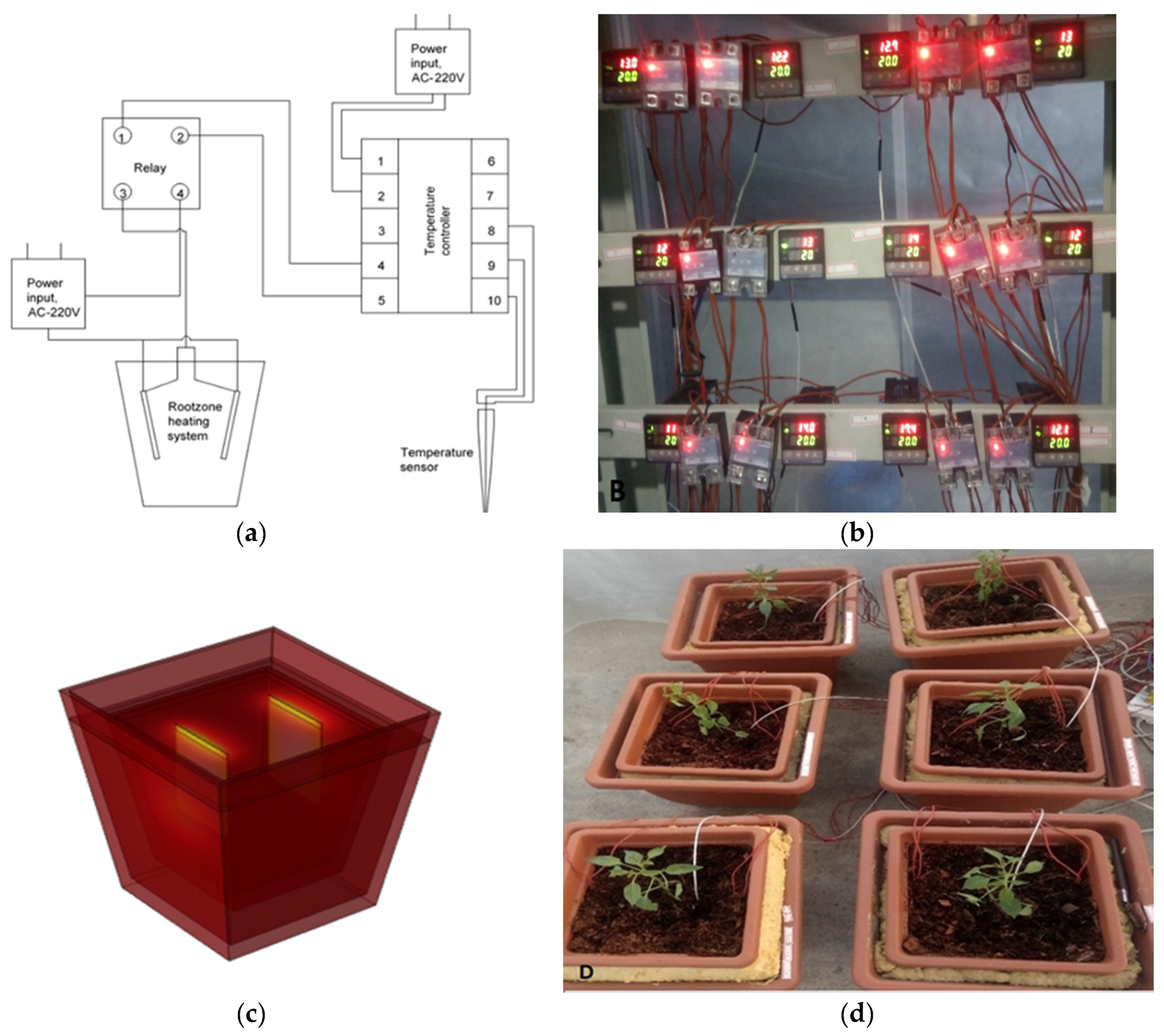 An Investigation of a Root Zone Heating System and Its Effects on the ...