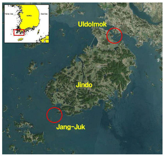 Current Policy and Technology for Tidal Current Energy in Korea