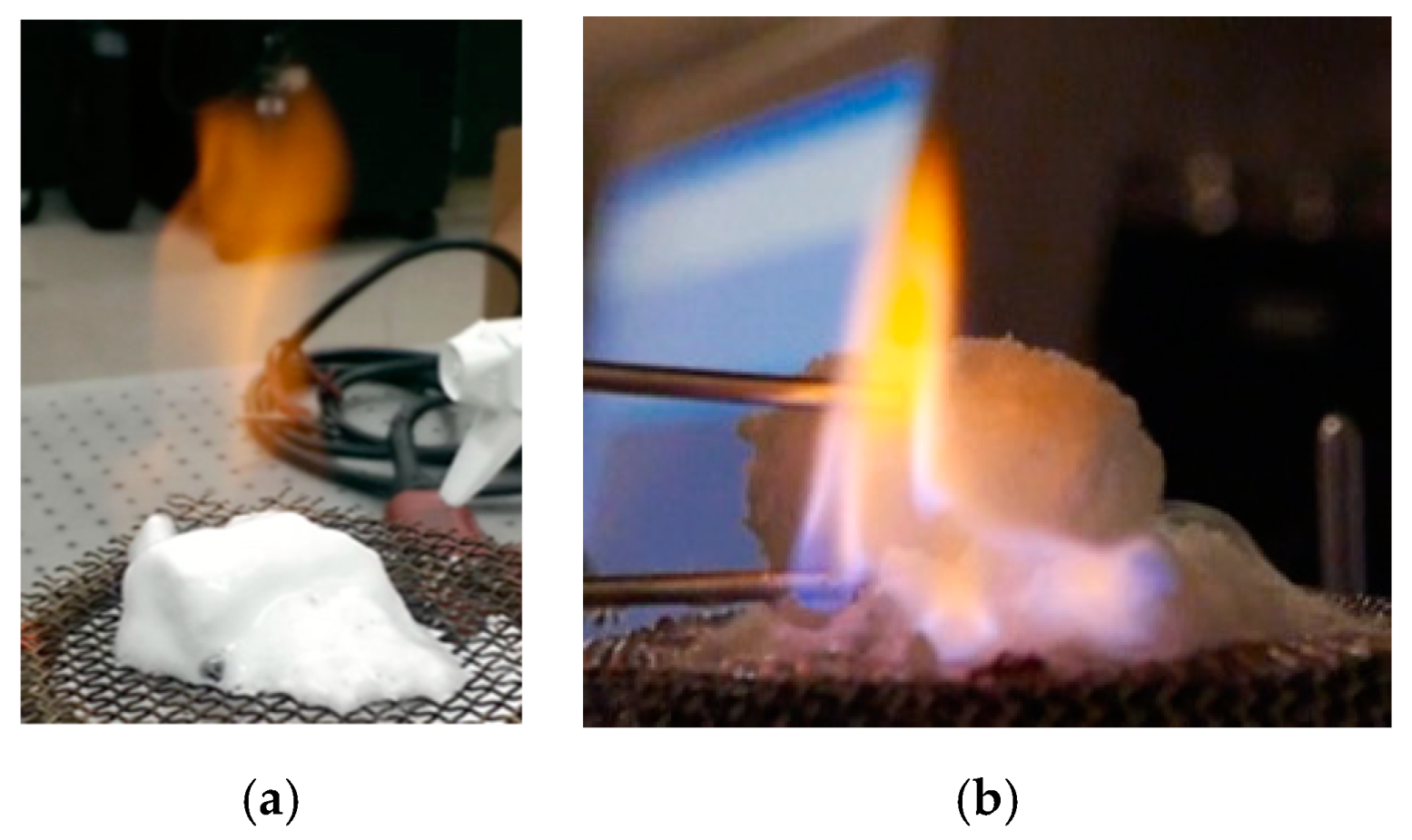 Energies | Free Full-Text | Combustion Characteristics of Methane Hydrate Flames