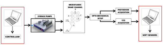 A Real Time Feed Forward Control of Slug Flow in Microchannels