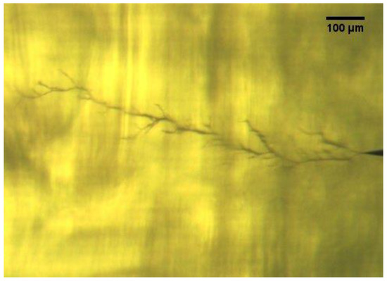 Electrical Treeing in Power Cable Insulation under Harmonics ...