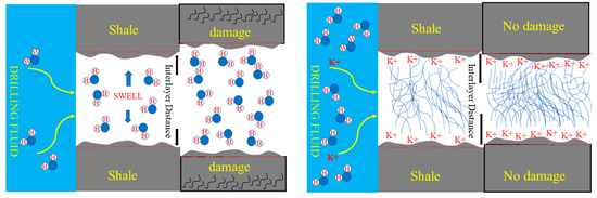 Experimental Investigation of the Effects of Drilling Fluid Activity on ...
