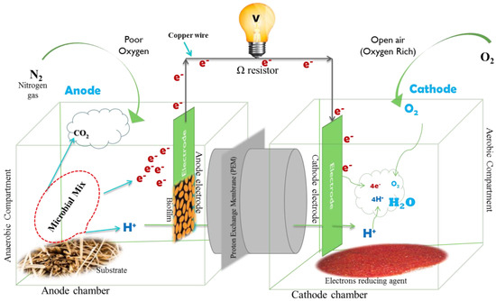 Overview of Recent Advancements in the Microbial Fuel Cell from ...