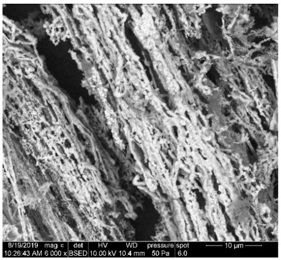 Chemical and Mineralogical Composition of Soot and Ash from the ...