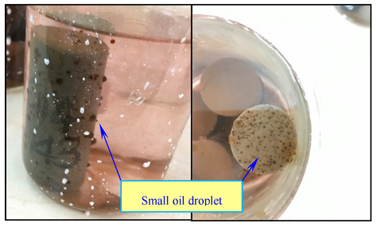 The Characteristics of Oil Migration due to Water Imbibition in Tight ...