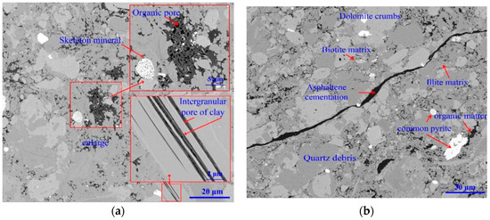 Effect of Shale Anisotropy on Hydration and Its Implications for Water ...
