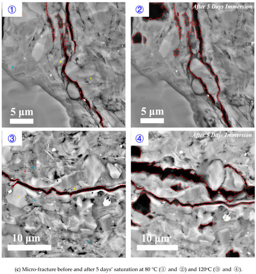 Effect of Shale Anisotropy on Hydration and Its Implications for Water ...