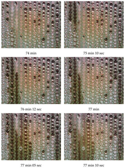 Visualization of Patterned Modified Surfaces in Condensation and ...