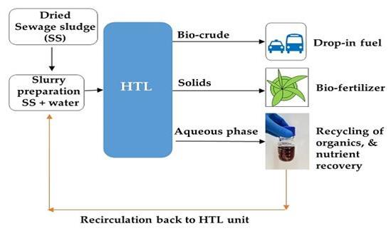 Energies | Free Full-Text | Bio-Crude Production through Aqueous Phase ...