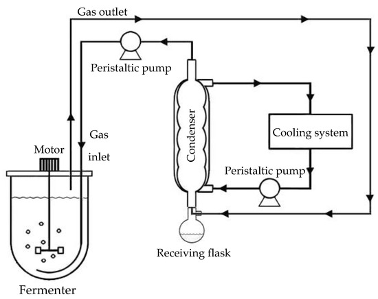 Impacts of Initial Sugar, Nitrogen and Calcium Carbonate on Butanol ...