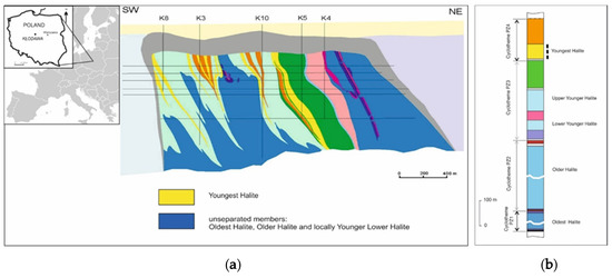 Cutting Niches in Rock Salt by Means of a High-Pressure Water Jet in ...