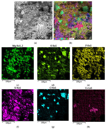Conditioning of Spent Electrolyte Surrogate LiCl-KCl-CsCl Using ...