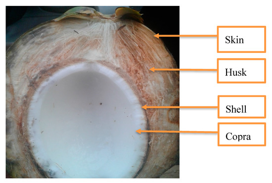Coconut Wastes as Bioresource for Sustainable Energy: Quantifying ...