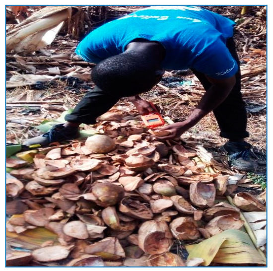 Coconut Wastes as Bioresource for Sustainable Energy: Quantifying ...